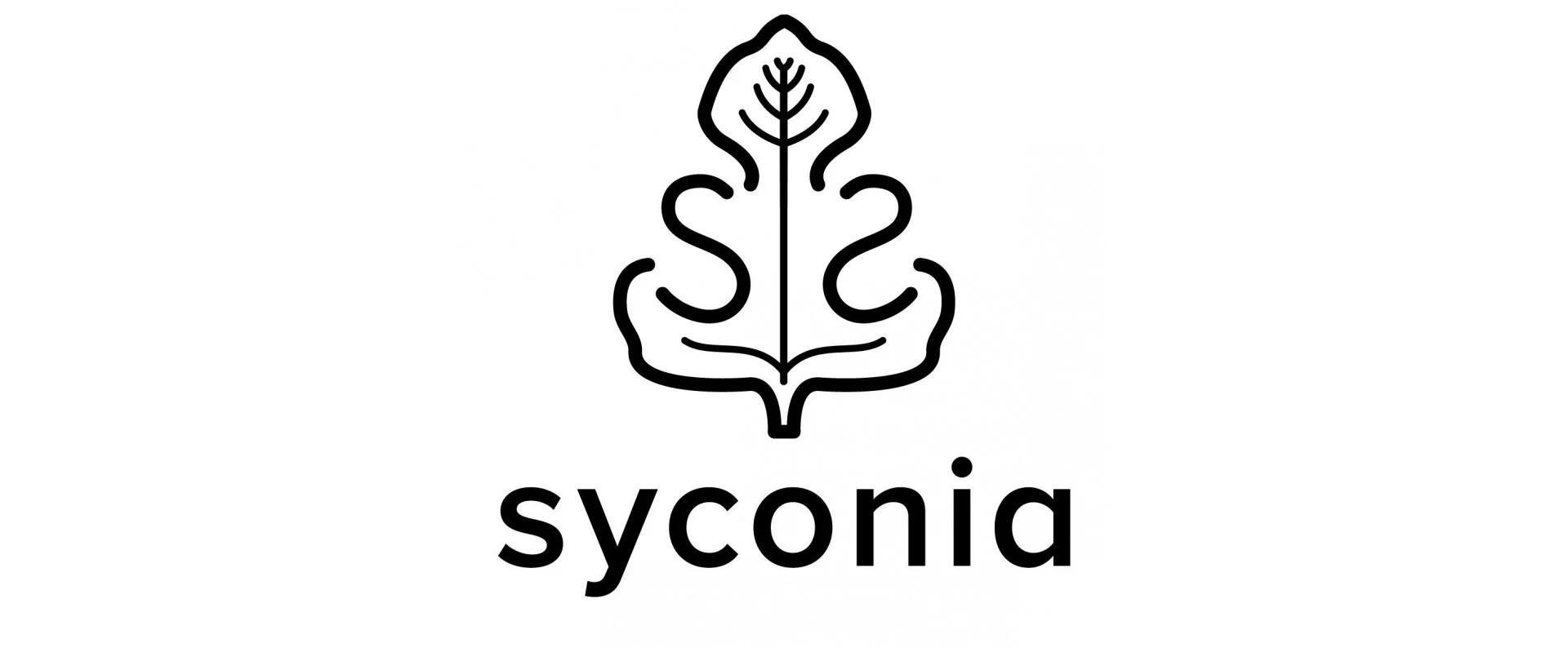 Syconia