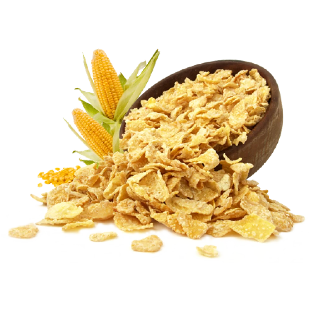 Corn flakes wholegrain ΒΙΟ 10Kg | ΒΙΟ-ΥΓΕΙΑ