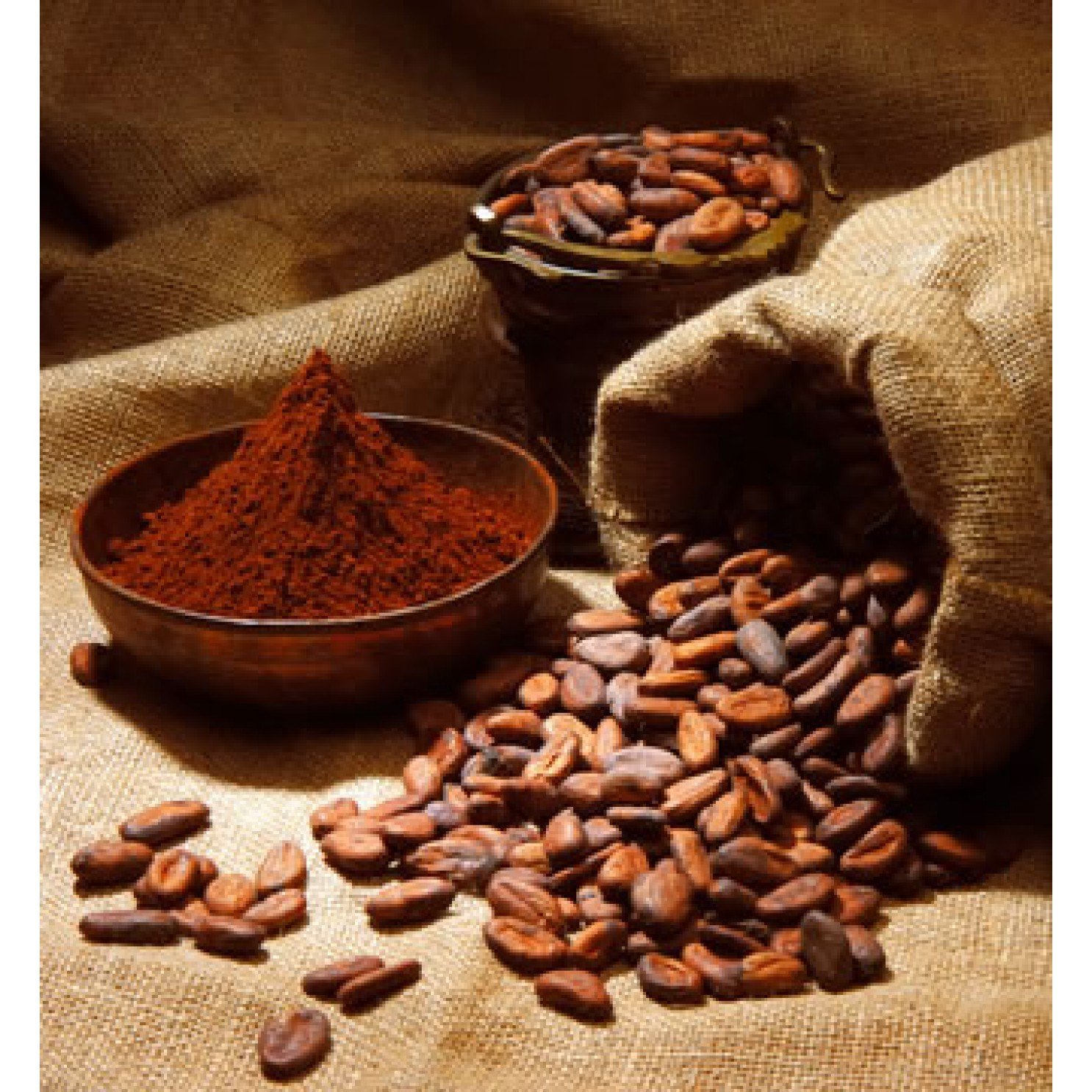 ΚΑΚΑΟ BEANS ΒΙΟ ΧΥΜΑ 15kg | ΒΙΟ-ΥΓΕΙΑ