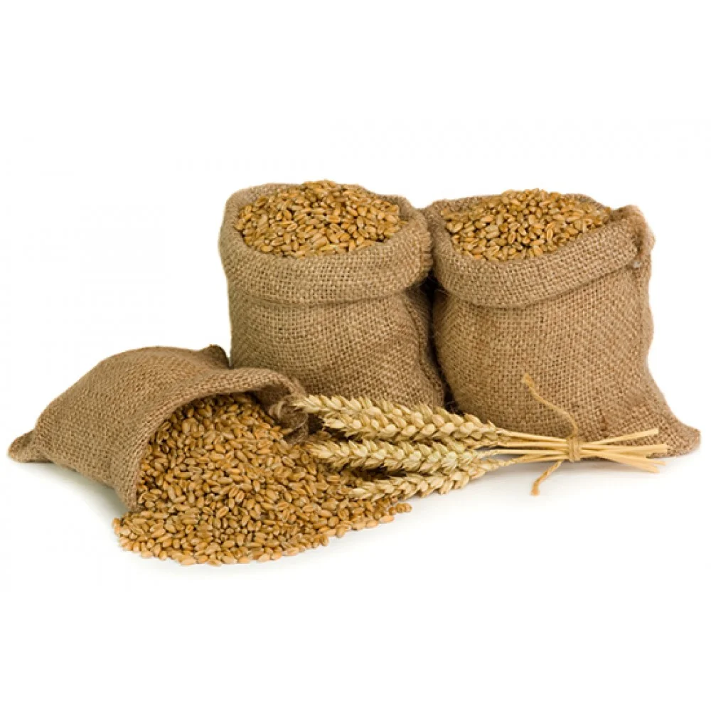 ΣΙΤΑΡΙ ΒΙΟ ΧΥΜΑ ΒΙΟ 25kg | ΒΙΟ-ΥΓΕΙΑ